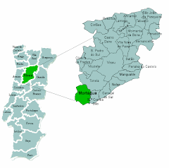 Abrigo 48: Equipa ALFA
